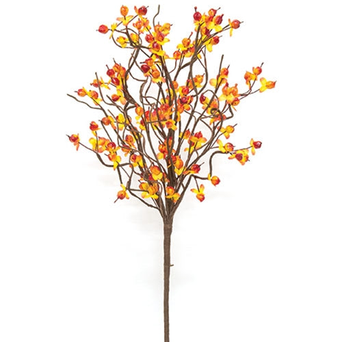 Bittersweet Berry Spray 18" – Primitive Renditions