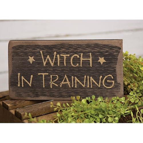 Witch in Training Distressed Barnwood Sign – Primitive Renditions