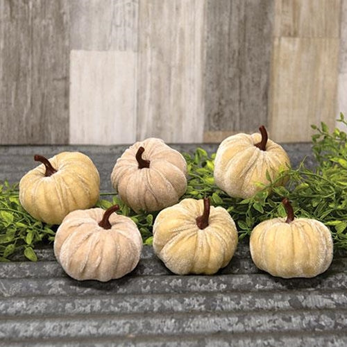 6/Set Mini Velvet Beige Pumpkins – Primitive Renditions