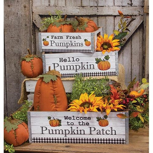 3/Set Welcome to the Pumpkin Patch Crates – Primitive Renditions