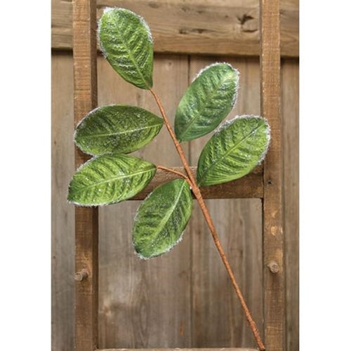 Flocked Magnolia Leaves Spray 20" – Primitive Renditions